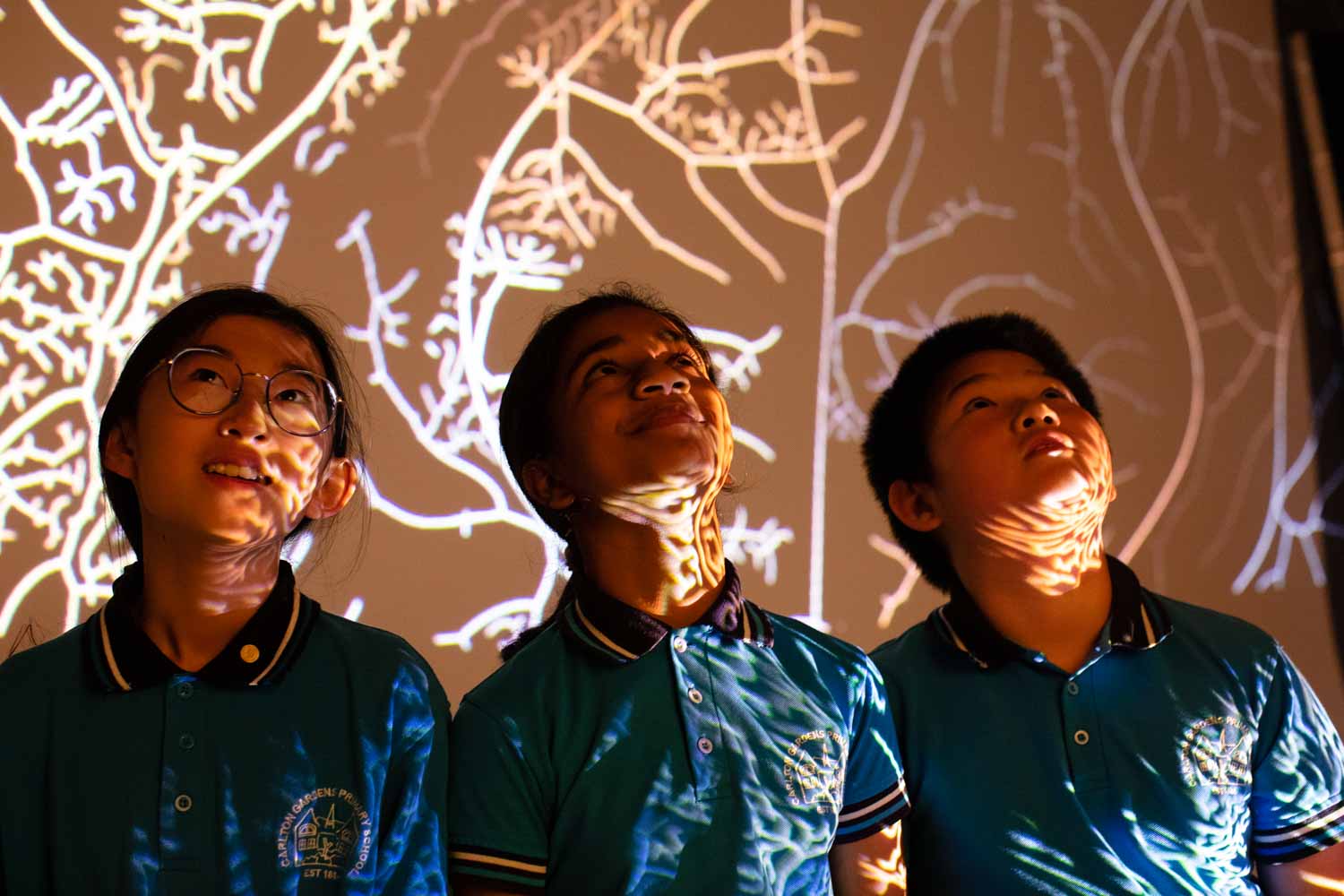 Learning Lab manifesto - Melbourne Museum