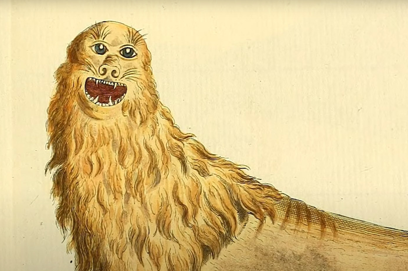 Drawing creatures - Melbourne Museum