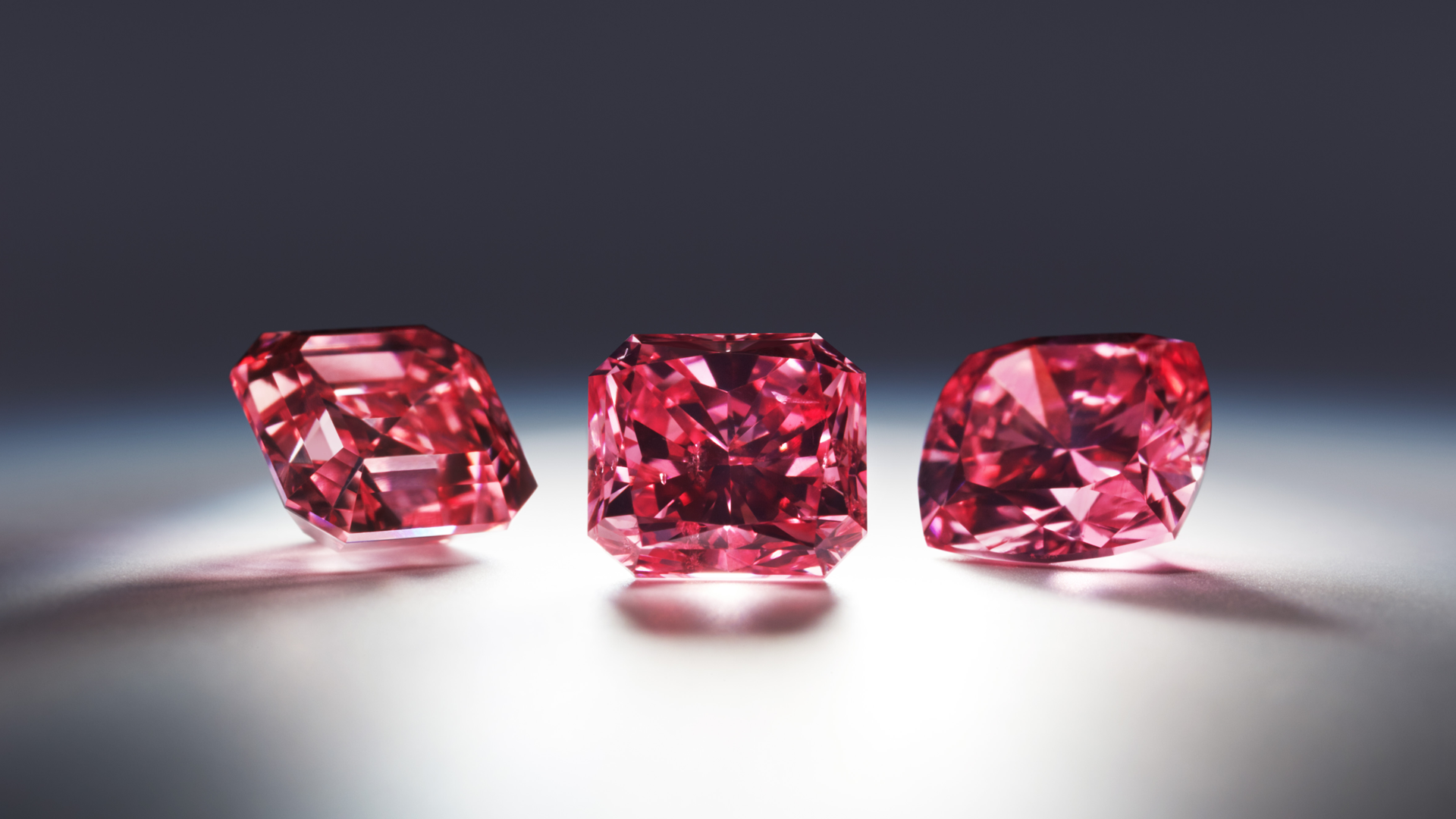 Royal Exhibition Building Dome Promenade - Melbourne Museum