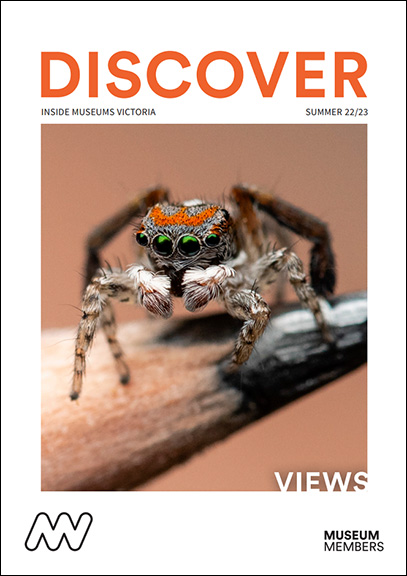 Discover Magazine: Summer 2022 - Museums Victoria