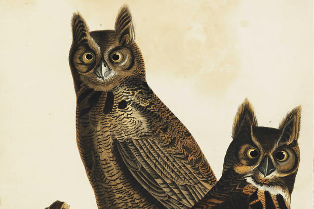 What's on: Melbourne Museum