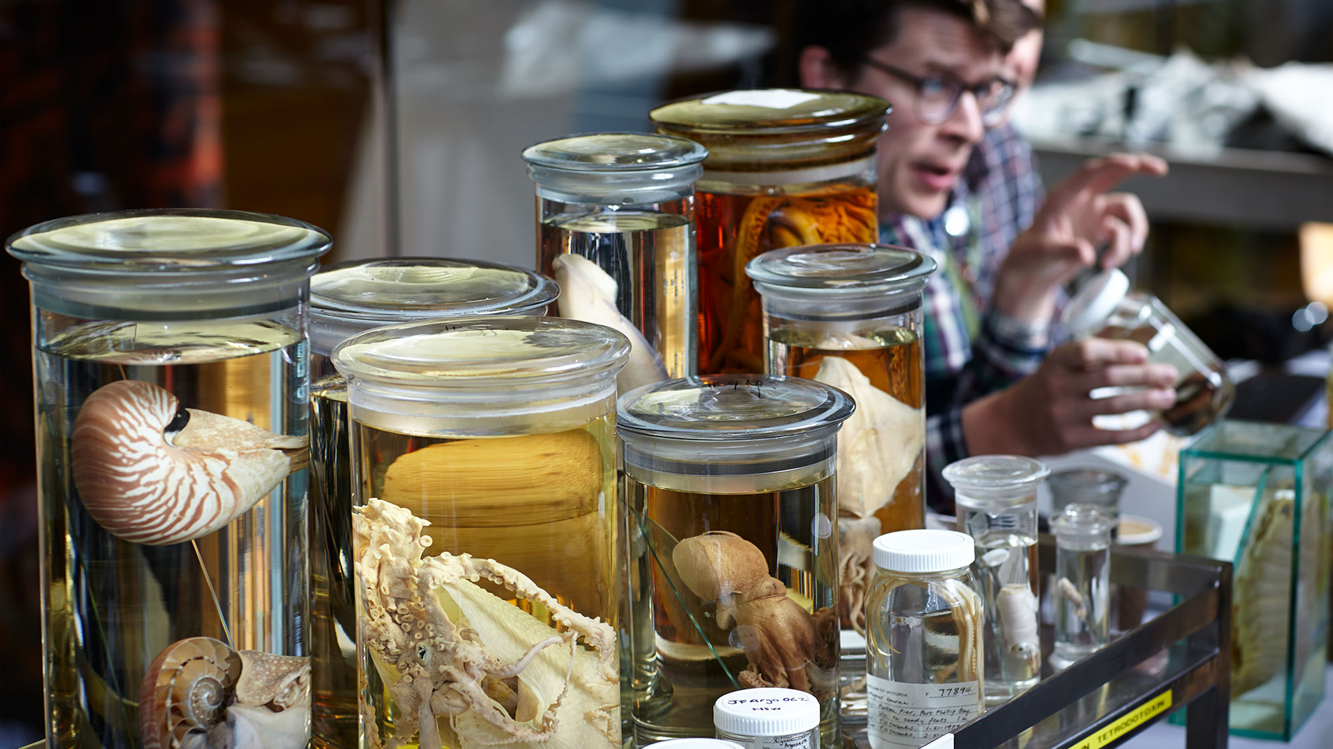 National Science Week 2025 - Museums Victoria